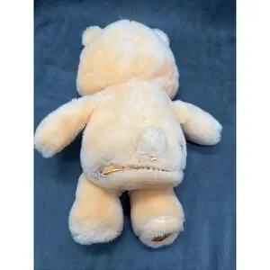 Care Bears | Toys | Vintage Care Bears Sing Along Friends Friend Bear ...